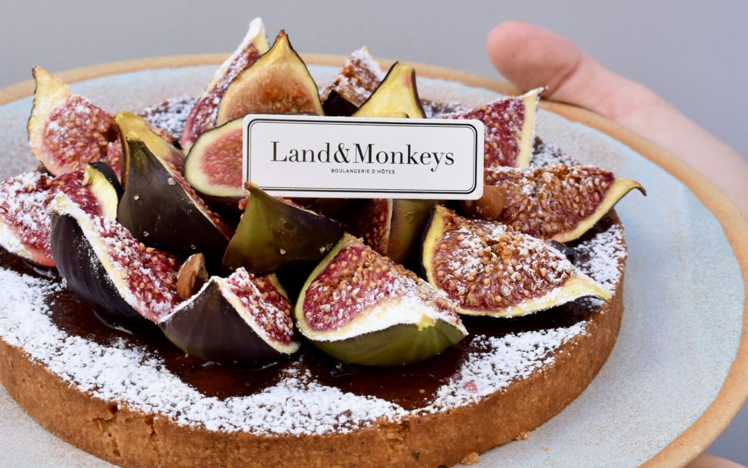 Les figues débarquent chez Land&Monkeys ! - Land&Monkeys