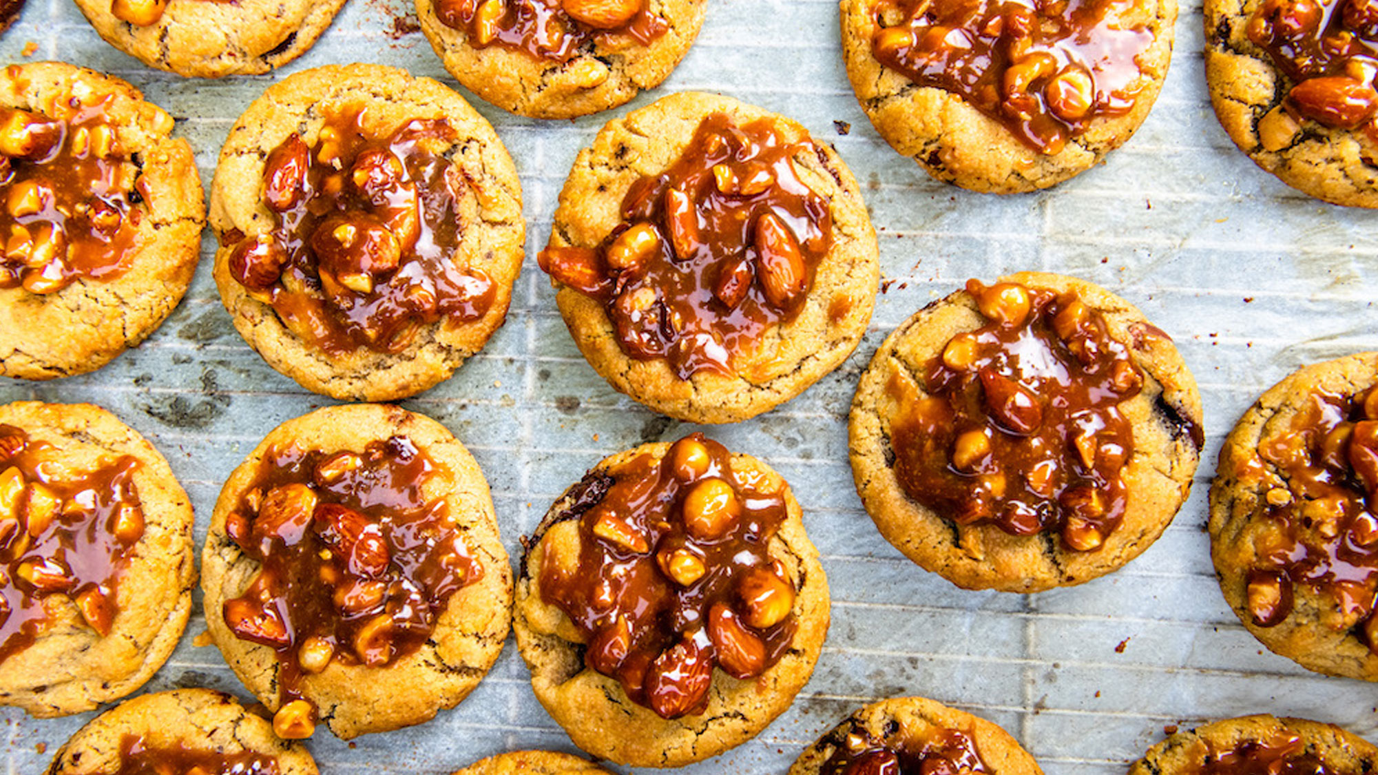 Blog - Land&Monkeys BLOG